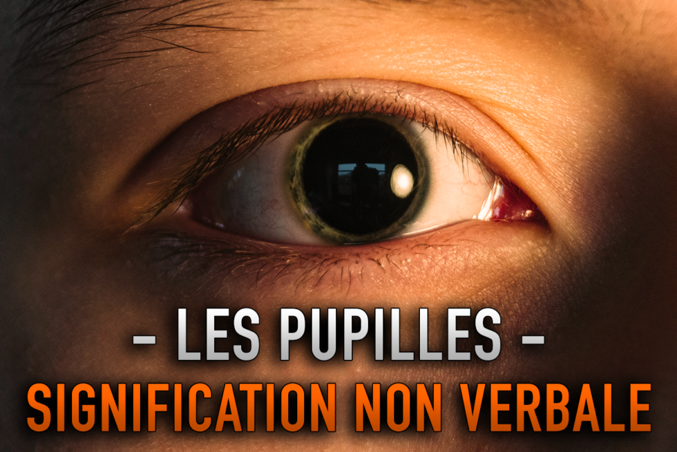 DILATATION DES PUPILLES SIGNIFICATION NON VERBALE